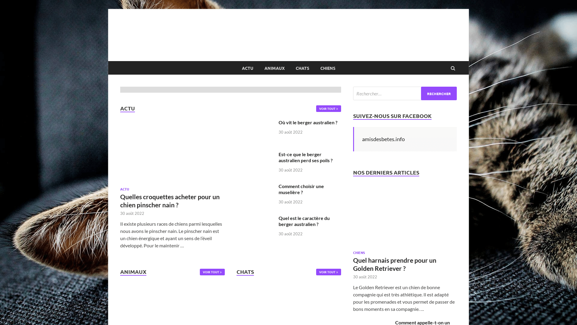 amisdesbetes.info - Patrick Ollier